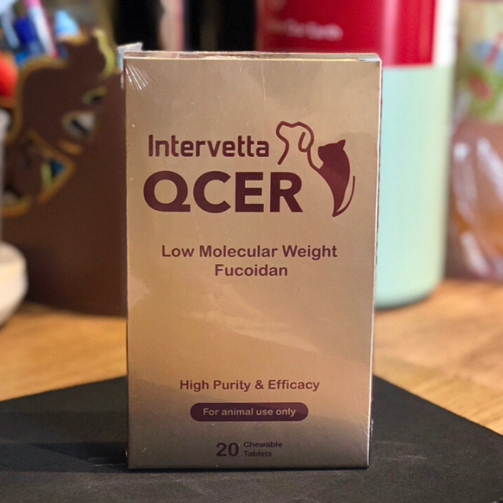 Intervetta Qcer สารสกัดฟูคอยแดน มีฤทธิ์ต่อต้านเซลล์มะเร็ง ส่งเสริมและ ...