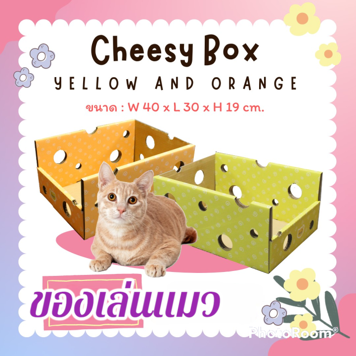 Cat Cheesy Box ( สีส้ม ) | Lazada.co.th