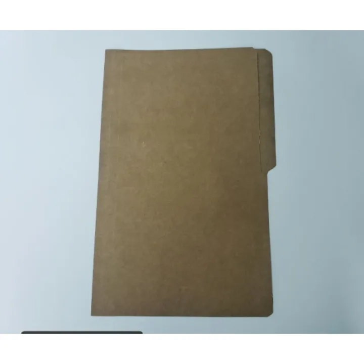 P stand 100 Pcs Kraft File Folder Long (Thin) 9Pts | Lazada PH
