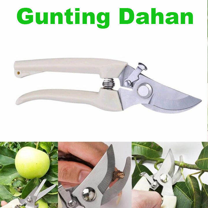 Gunting Dahan Batang Ranting Kebun Taman Daun Buah Lengkung Bunga ...
