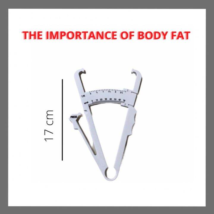 ALAT PENGUKUR LEMAK TUBUH Body Fat Measurement / body fat caliper ...