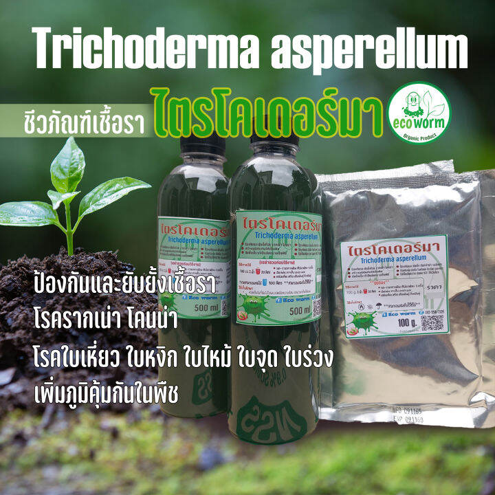 ไตรโคเดอร์มา Trichoderma asperellum ป้องกันและรักษาโรคพืช ชนิดผงเชื้อ ...