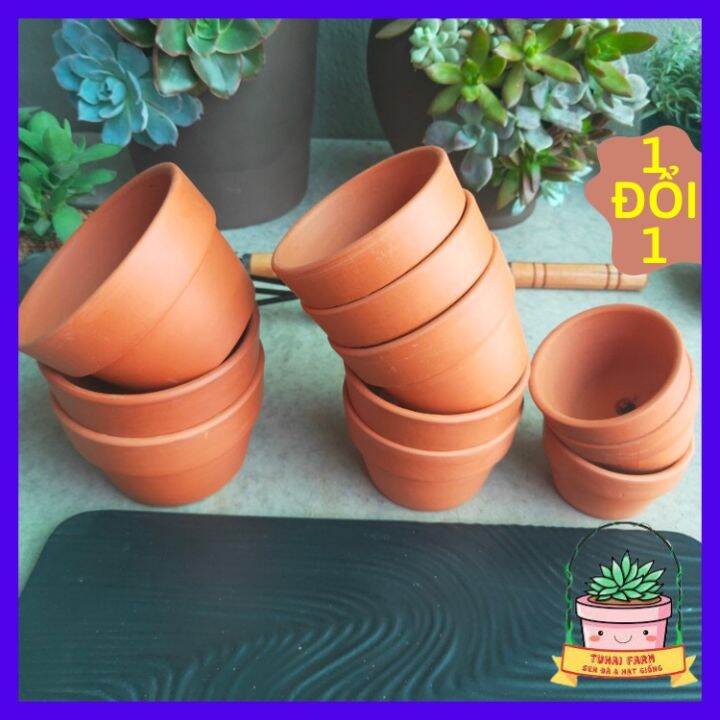 CHẬU ĐẤT NUNG MINI - CHẬU TRỒNG SEN ĐÁ, XƯƠNG RỒNG, BONSAI - NHIỀU KÍCH ...