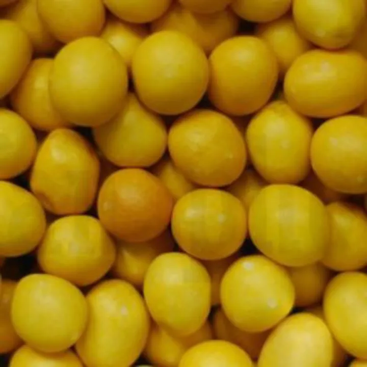 Kacang Salut Kuning 500g | Lazada