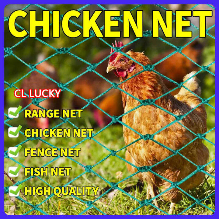 100M Chicken Net Range Net For Chicken Lambat Outdoor Fishing Net ...
