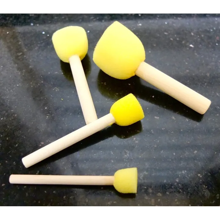 Round Tip Foam Brush Set | Lazada PH