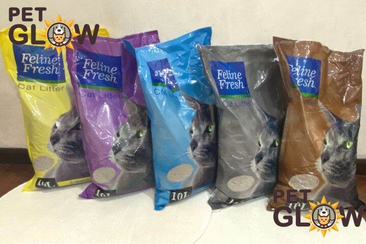 NEW PRODUCT! FELINE FRESH CAT LITTER SAND 10L | Lazada PH