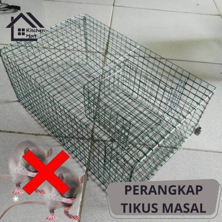 Perangkap Tikus Jebakan Tikus Massal Senteg Tikus Kawat | Lazada Indonesia