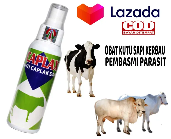 OBAT KUTU CAPLAX SAPI KERBAU PEMBASMI PARASIT TUNGAU | Lazada Indonesia