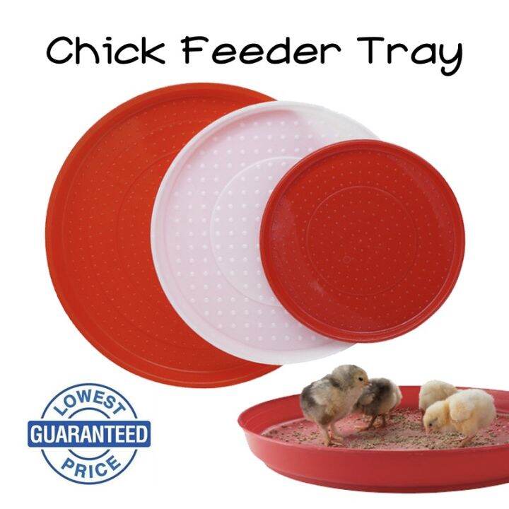 【Local Stock】30/40CM Small Chicken Feed Plate Feeder Round Chick Feeder ...