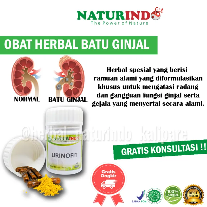 OBAT GINJAL HERBAL BATU RADANG KRONIS PATEN TABLET URINOFIT NATURINDO ...
