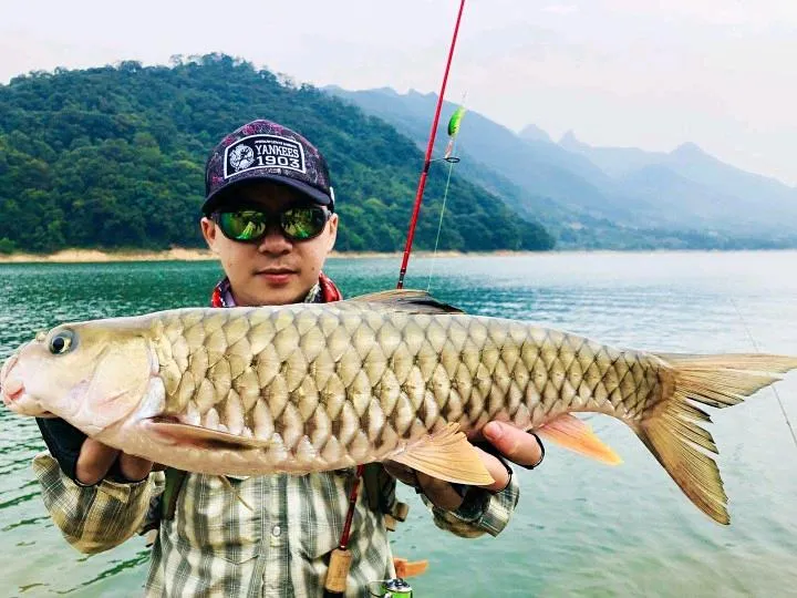 CC50 modified genuine lurefans special for stinger single-hook warfish ...