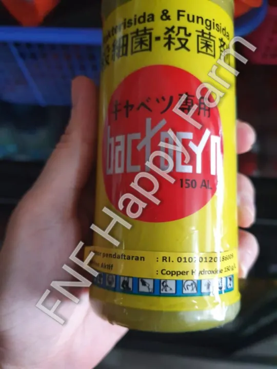 Bakterisida dan Fungisida Bactocyn 200ml | Lazada Indonesia