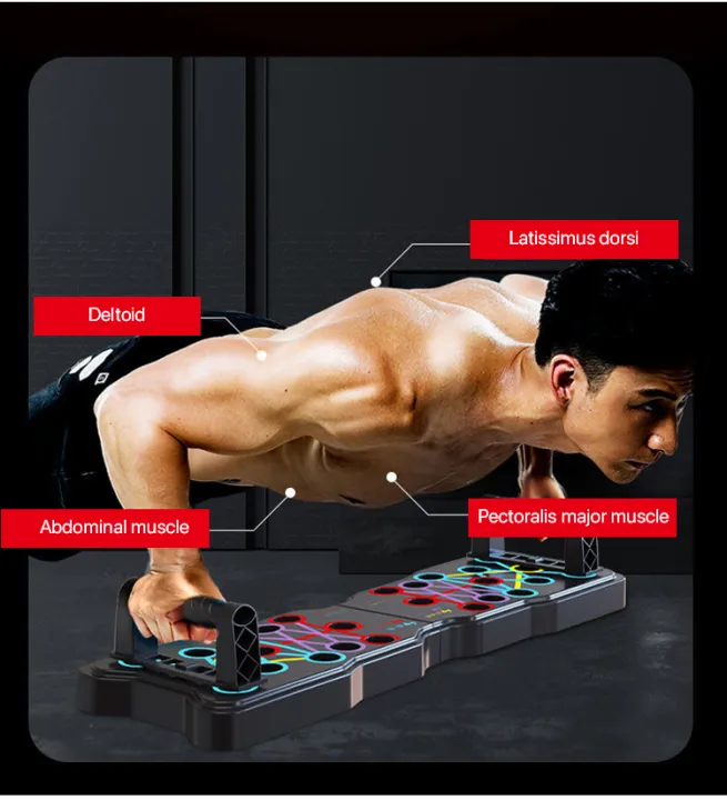 GiiMall German multi-function push-up training board | Lazada PH