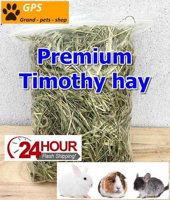 Timothy Hay Rumput Rabbit Rumput tikus belanda Makanan Haiwan High ...