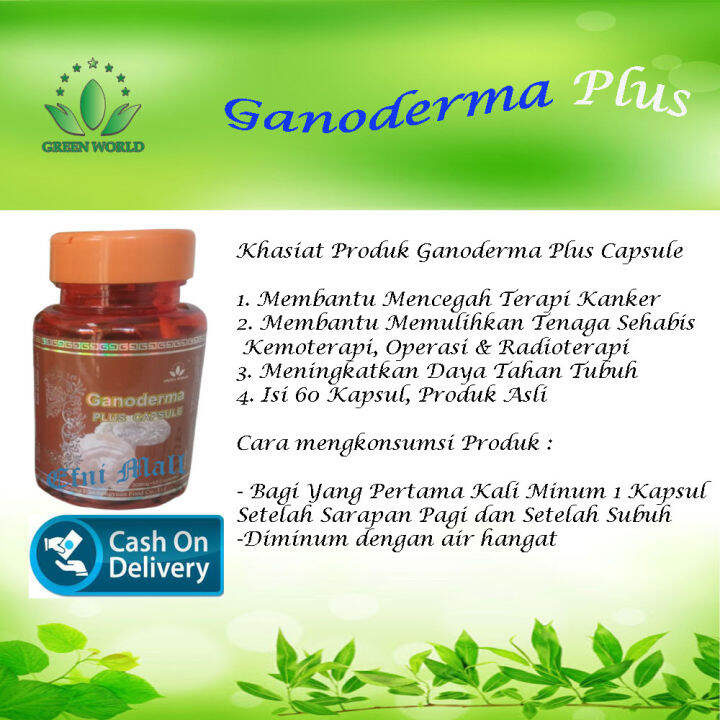 Ganoderma Plus Capsule Original - Membantu Mencegah Dan Terapi Kanker ...