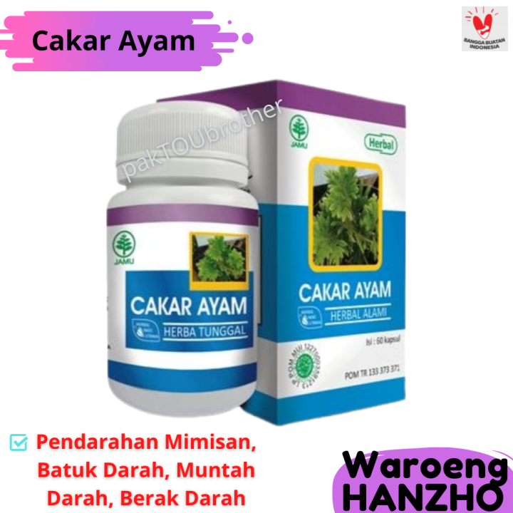 Obat Pendarahan Seperti Mimisan , Batuk Darah , Muntah Darah , Bab ...