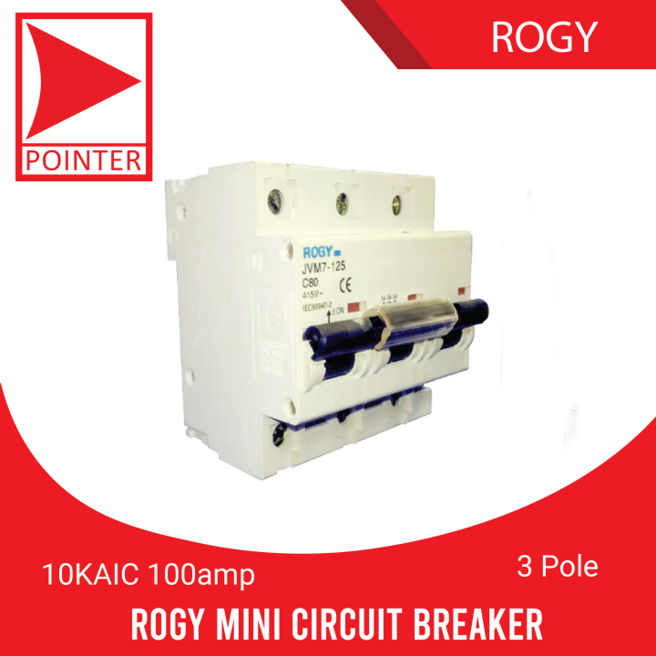 ROGY Mini Circuit Breaker 10KAIC 100amp. 3POLE | Lazada PH
