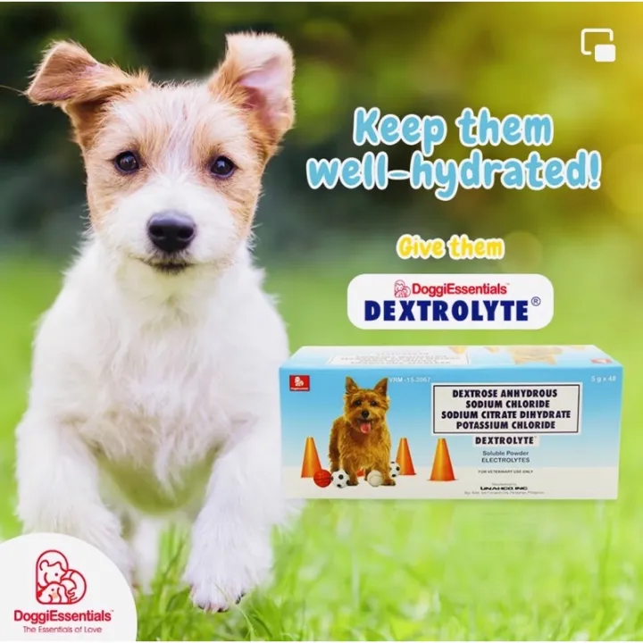 DEXTROLYTE Recovery Pack for Dogs, 5 boxes of 7 sachets 5 grams, to ...