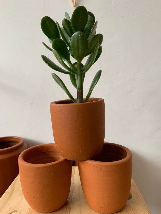 POT TERAKOTA D10 T10 TABUNG POT TANAMAN POT BUNGA POT TERRACOTTA POT ...