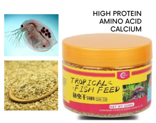 Malaysia Stock Dry Daphnia Magna Fish Food - Discus Betta Guppy Gold ...