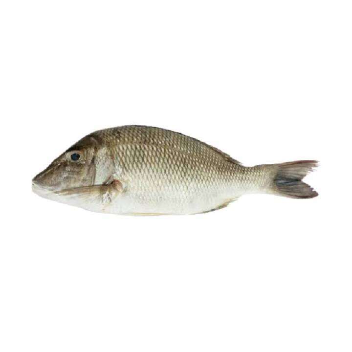 Frozen Betilya "Emperor Fish" Cleaned (300-400g) | Lazada PH