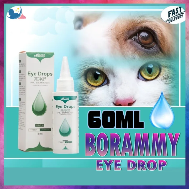 Borammy Eye Drops 60ml Professional Pet Eyedrops Eye Drop Eye Care | Lazada PH