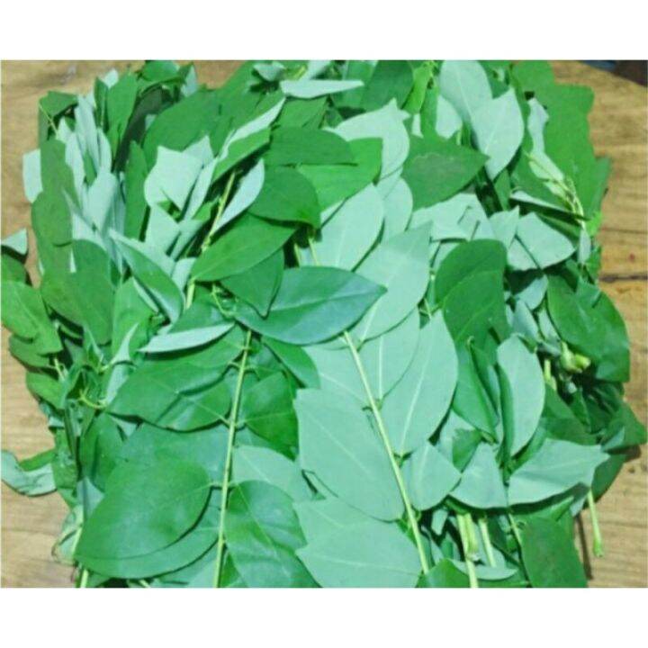 Kakawate / Madre de Cacao Leaves ( 100 grams) | Lazada PH