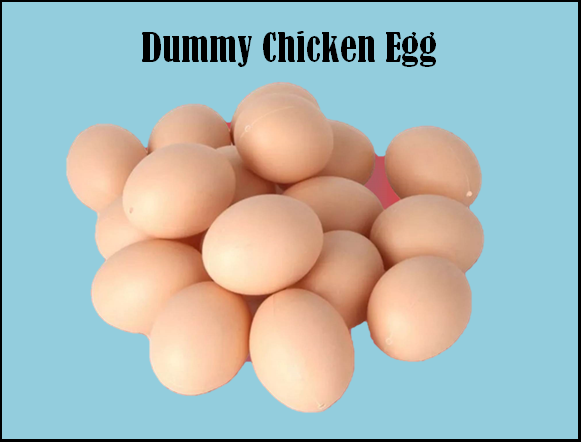 Plastic Dummy Chicken Eggs / Fake Eggs for Chicken / Pet Accessories ...