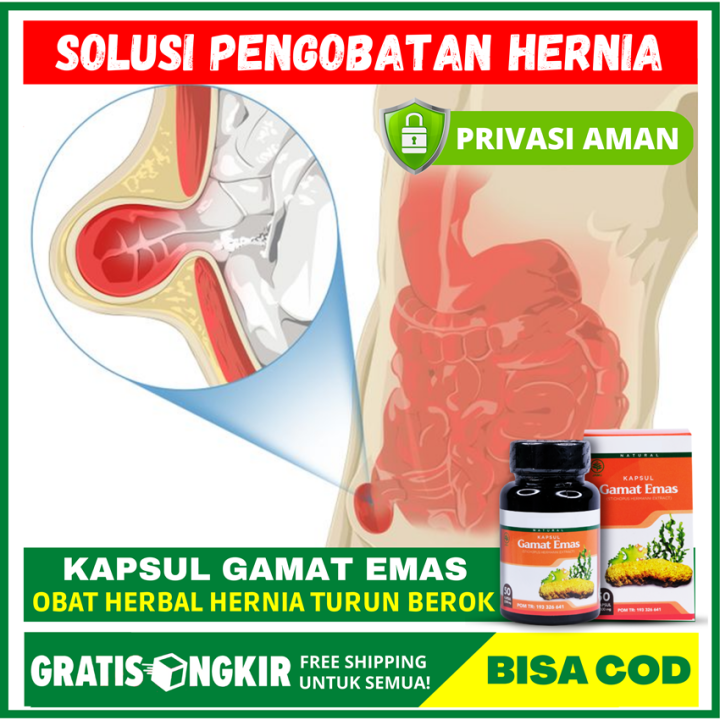 Obat Hernia Pria Dewasa Turun Berok Bayi Balita Anak Usus Turun ...