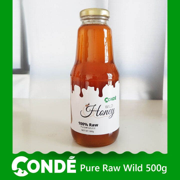 100% PURE HONEY WILD RAW Natural Organic Honey 350ml/500g Batangas ...