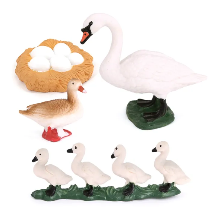 4 PCS Goose Farm Animal Life Cycle Model Simulation Animal Growth Cycle ...