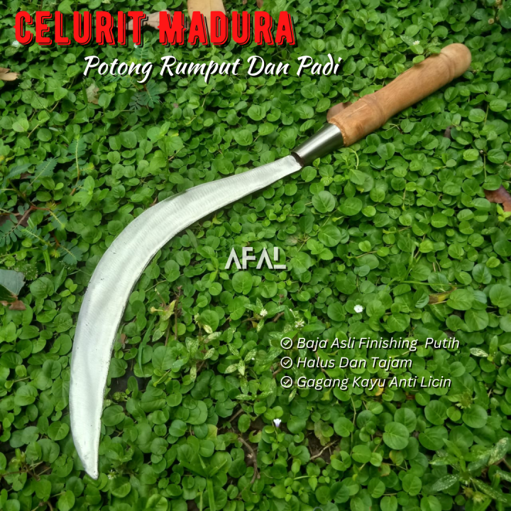 Arit Celurit Madura Potong Rumput Dan Padi Baja Finishing - Sabit ...