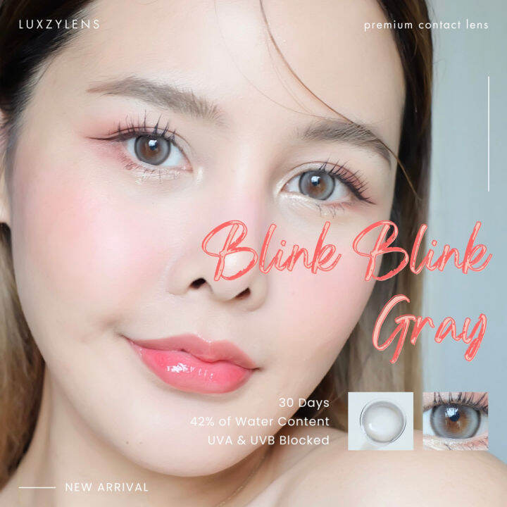 คอนแทคเลนส์🌈Blink Blink🌈 Brown / Gray (Luxzylens) ขนาดกลาง💖 รุ่นฮิต ...