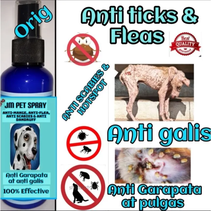 Pamatay ng Garapata ng Aso Spray100ml (plus anti galis formula) | Lazada PH