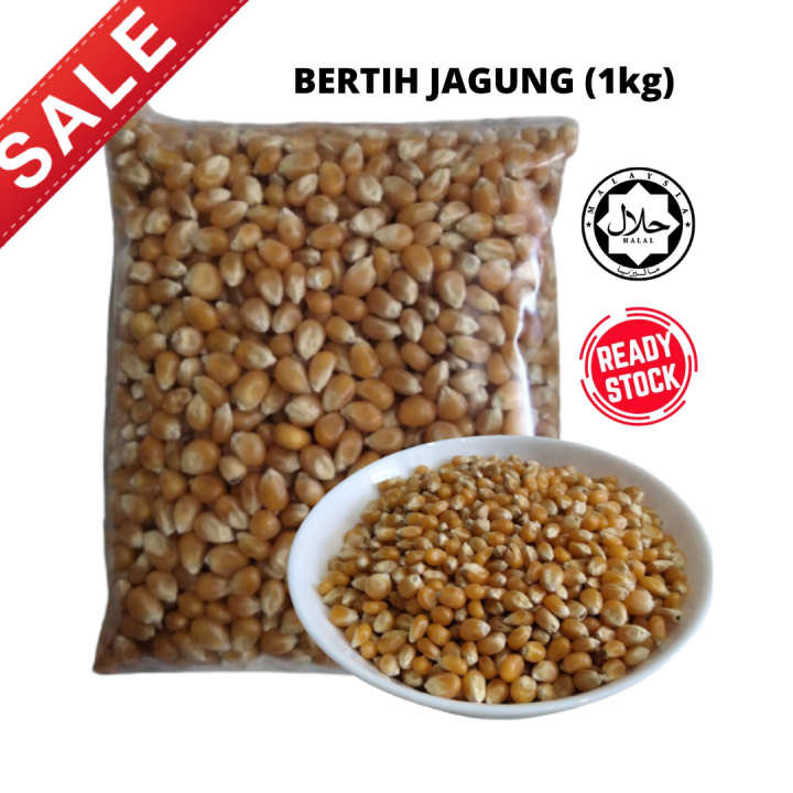 Bertih Jagung Mentah Premium Corn Kernel Popcorn Seed Biji Jagung Letup ...