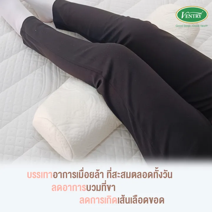 Ventry (Chickapu Pillow/หมอนสปา/หมอนอเนกประสงค์/หมอนเส้นเลือดขอด ลาย ...