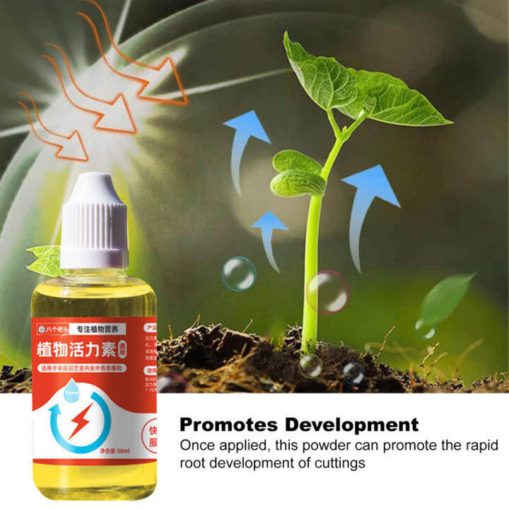 Plant Growth Enhancer Supplement, 2023 New Take Root Rooting Hormone ...