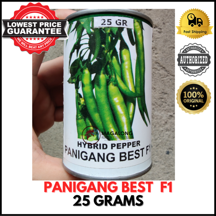 CONDOR SEEDS - PEPPER SEEDS - PANIGANG BEST F1 HYBRID 25 Grams | Lazada PH