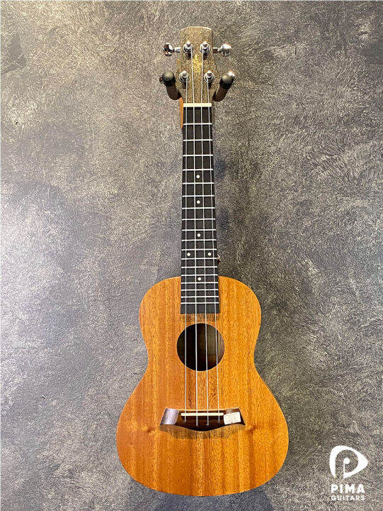 Clifton A2 Concert Ukulele | Lazada PH