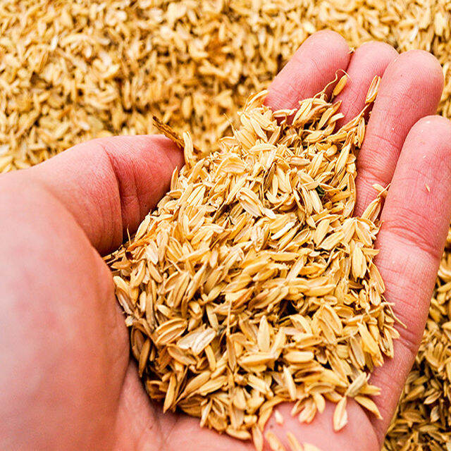 FRESH RICE HULL or IPA l 2 kilos l Best for Gardening l Maganda Pang ...