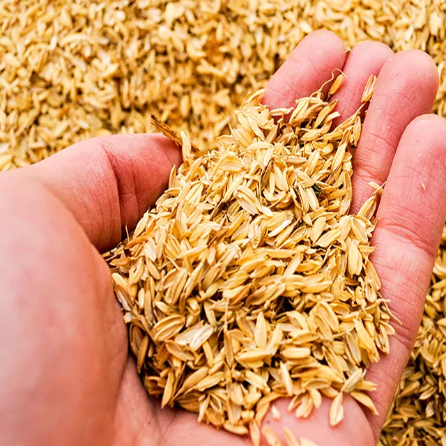 FRESH RICE HULL or IPA l 10 kilos l Best for Gardening l Maganda Pang ...