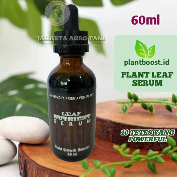 Pupuk Nutrisi Daun 60 ML Leaf Nutrient Serum Plant Food | Lazada Indonesia