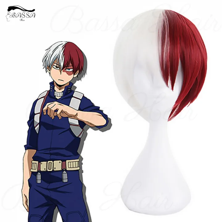 [BASSA]Japan Anime My Hero Academia Boku no Hero Academia Shoto ...