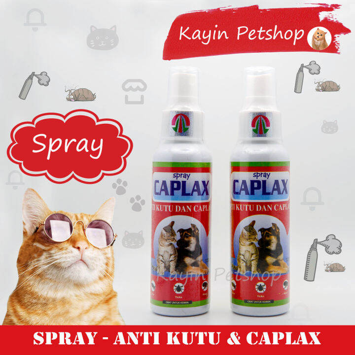 CAPLAX 120ml - Spray Anti Kutu Dan Caplak (membasmi kutu pada kucing ...