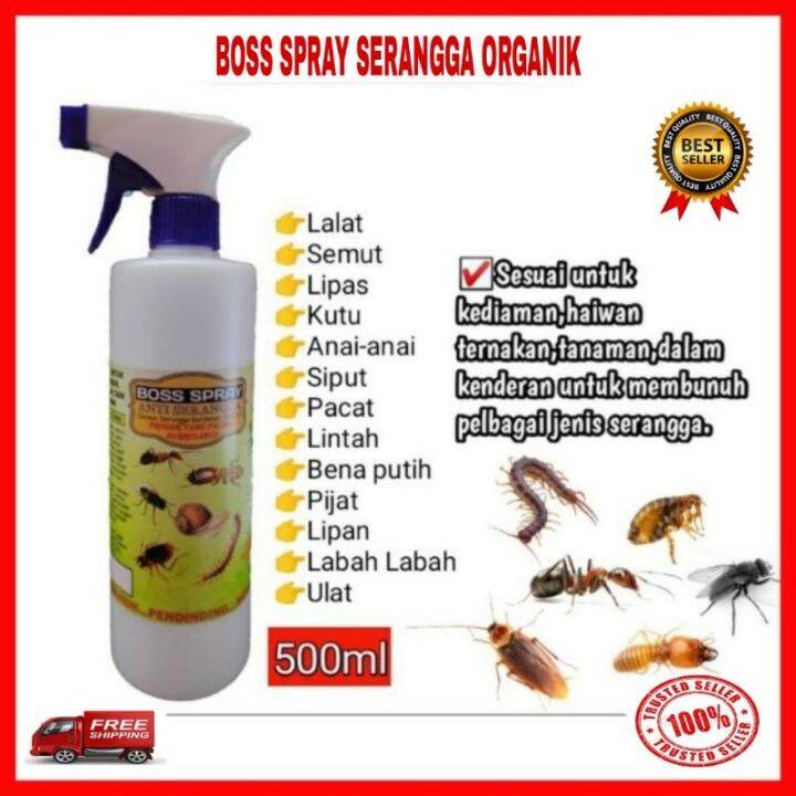 Spray Serangga Organik Ubat Semut | Lipas Anti Serangga| Magic Spray ...