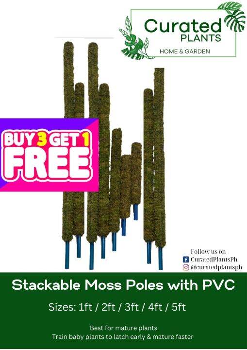 BUY 3, GET 1 on Sphagnum Moss Poles (Standard & Stackables/Connecting ...