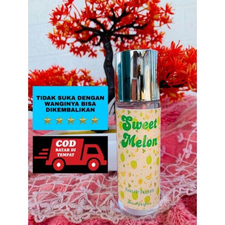 SWEET MELON - inspired parfum | Lazada Indonesia