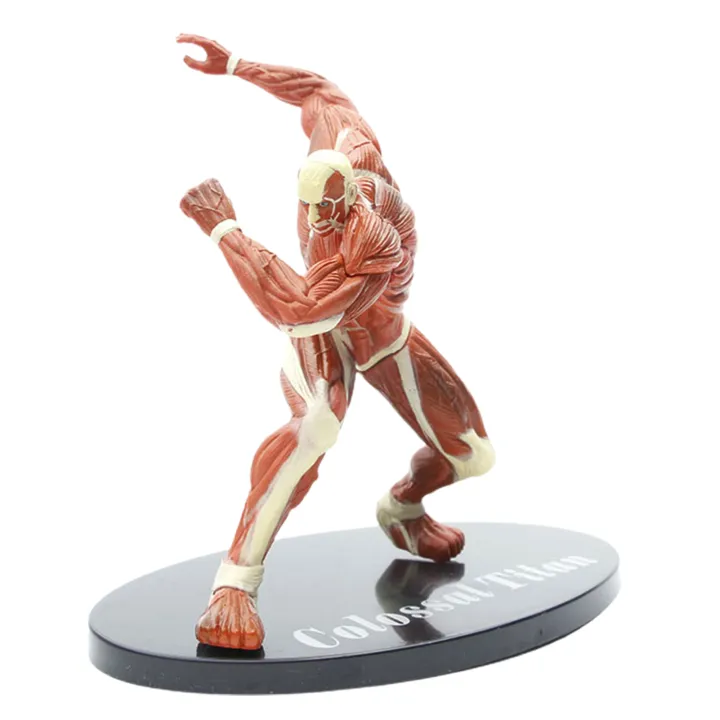 microgood Model Toy Good Craftsmanship Simulated PVC Attack on Titan ...