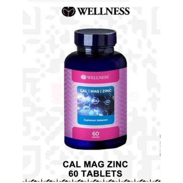 WELLNESS CAL/MAG/ZINC 60 TABLETS - CAL MAG ZINC CALCIUM MAGNESIUM ...